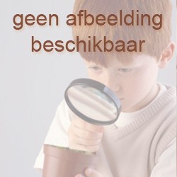 Goudgele Kroten 'Burpee's Golden' / 'Beetroot Golden'